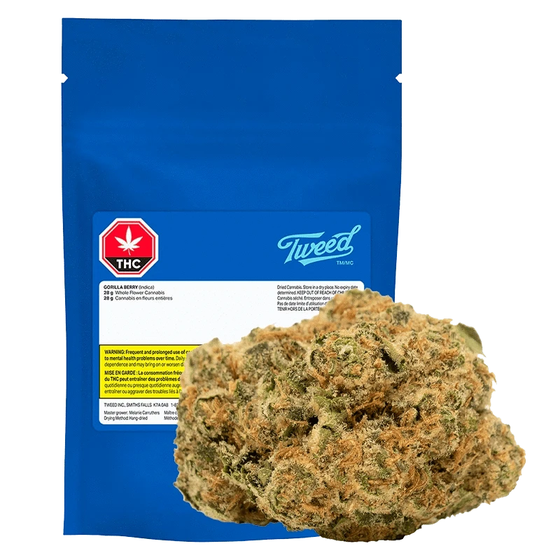 Gorilla Berry: Lowest Price | Canna Cabana