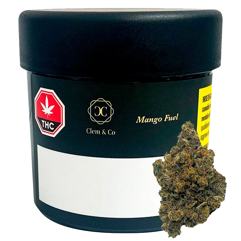 Mango Fuel: Lowest Price | Canna Cabana CA - Prod