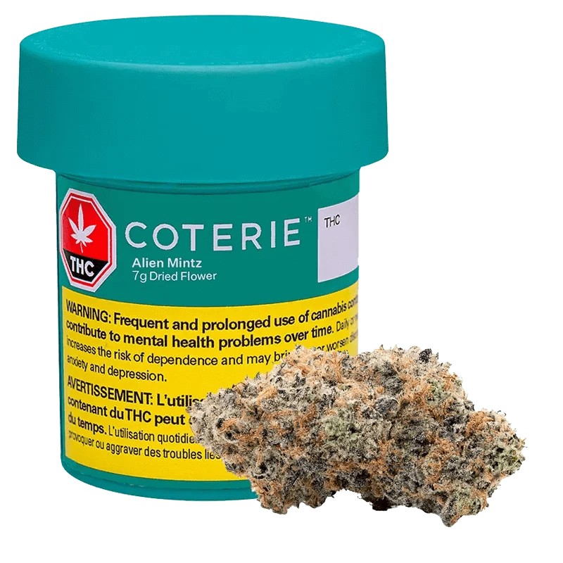 Coterie Alien Mintz Cannabis Strain For Sale Online: Lowest Price ...