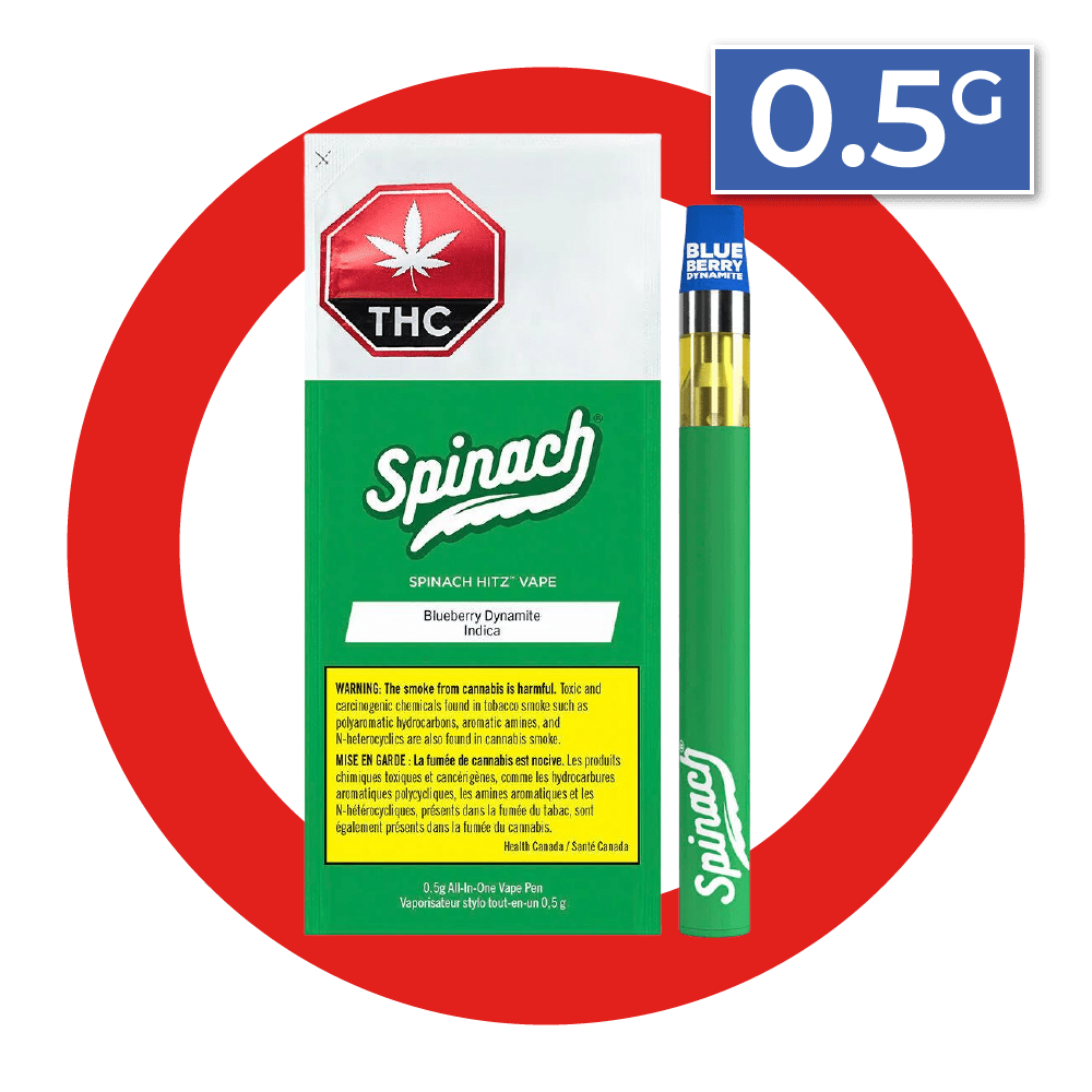 HITZ AIO - Blueberry Dynamite Disposable Vape: Lowest Price | Canna Cabana